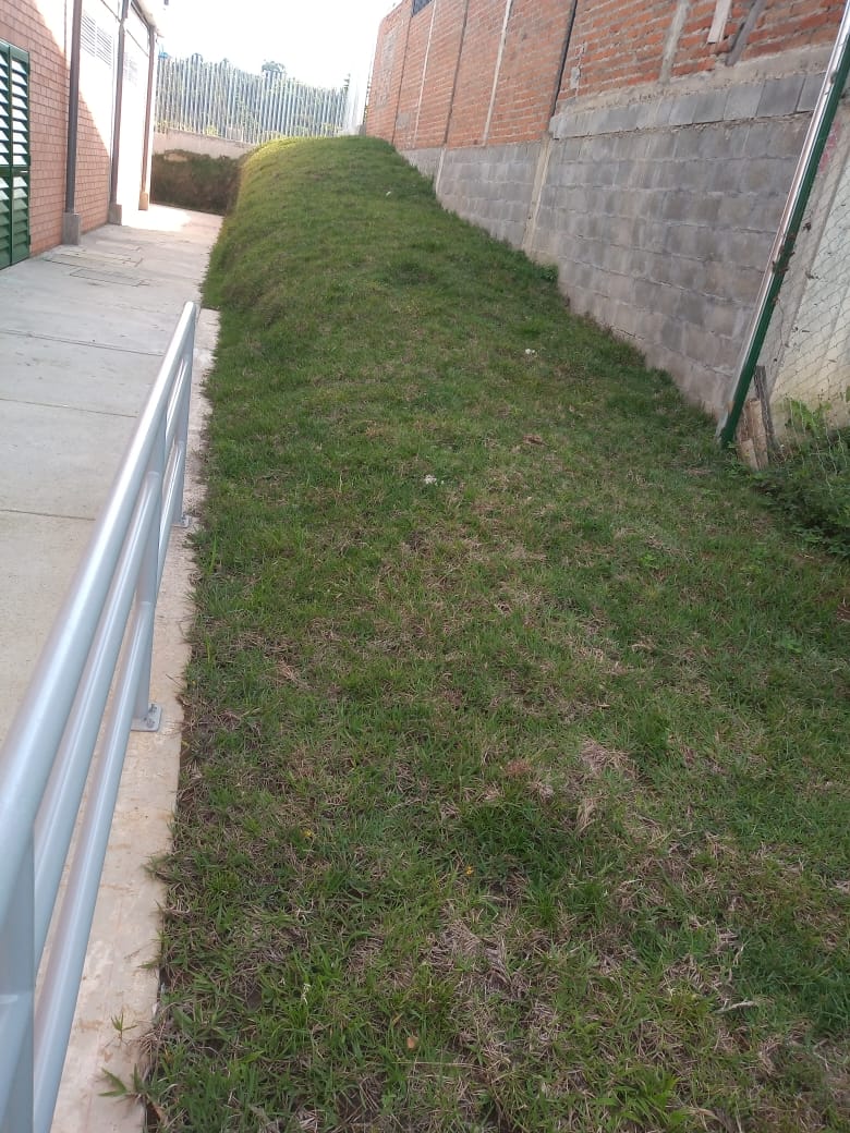 Instalación de Vetiver en taludes - EYZ PROYECTOS