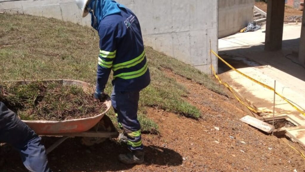 Instalación de Vetiver en taludes - EYZ PROYECTOS